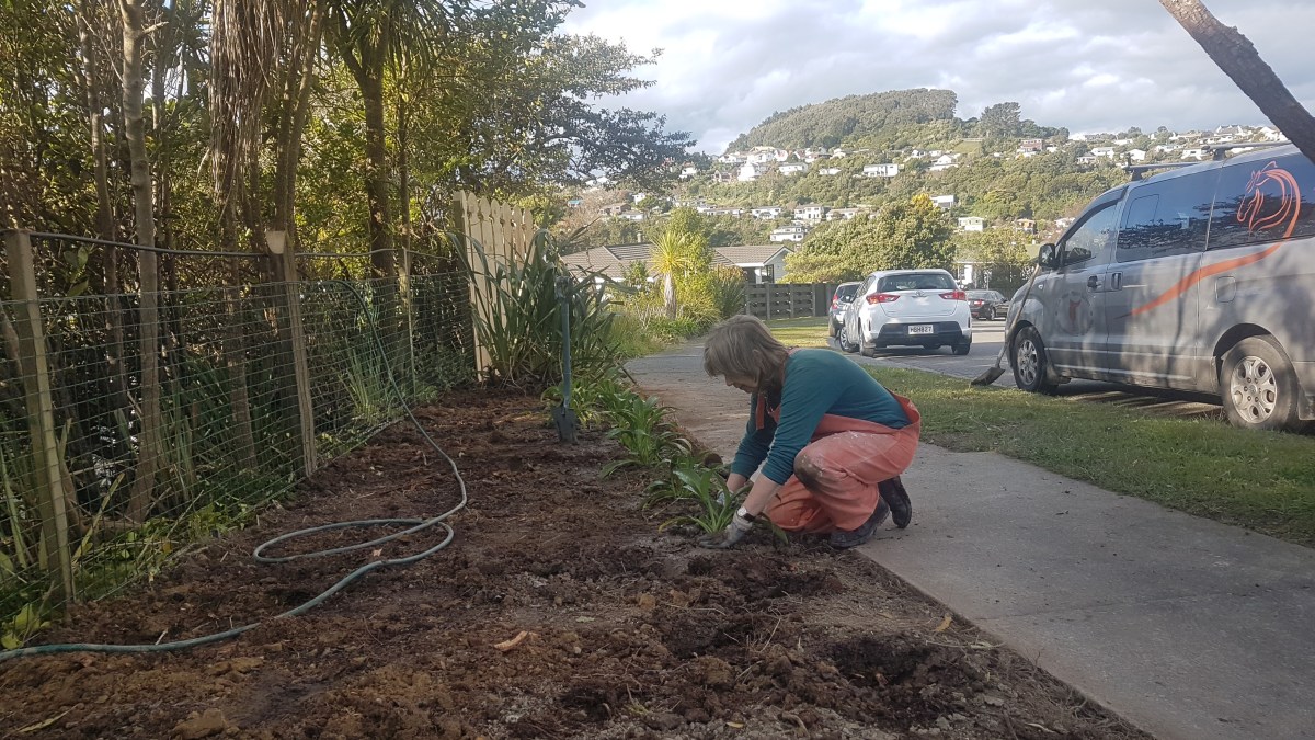 Contemplating eco berms, challenging norms? – Edge of Things